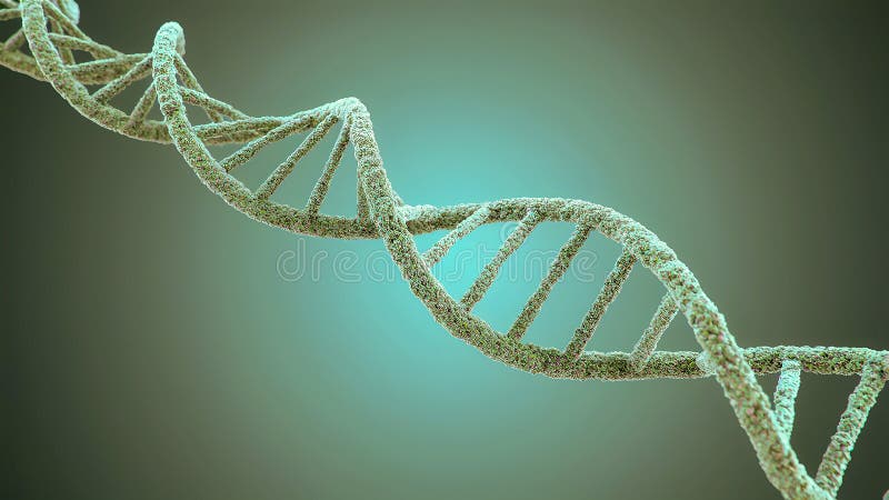 The Smallest Details of the Molecular Structure of DNA Stock ...