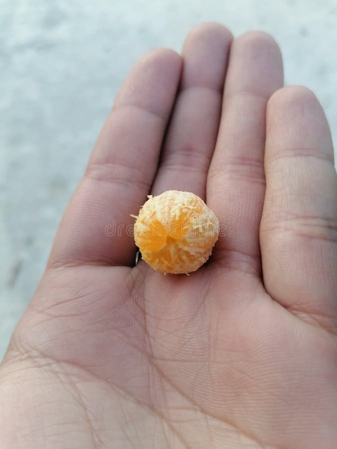 Smallest Orange Compare To Hand Stock Photo - Image of hand, smallest ...