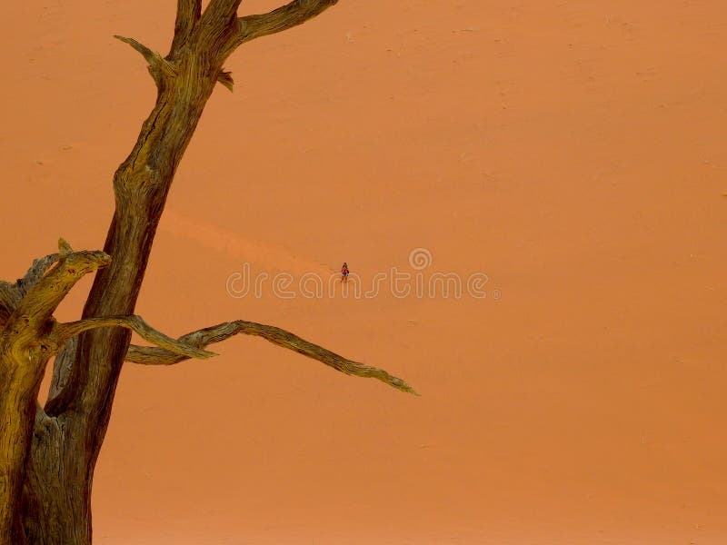 The smallness of the human stock image. Image of dead - 101955861