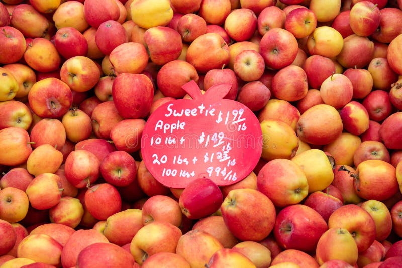 Pile of Sweetie Apples for Sale at Local Roadside Fruit Stand Market ...