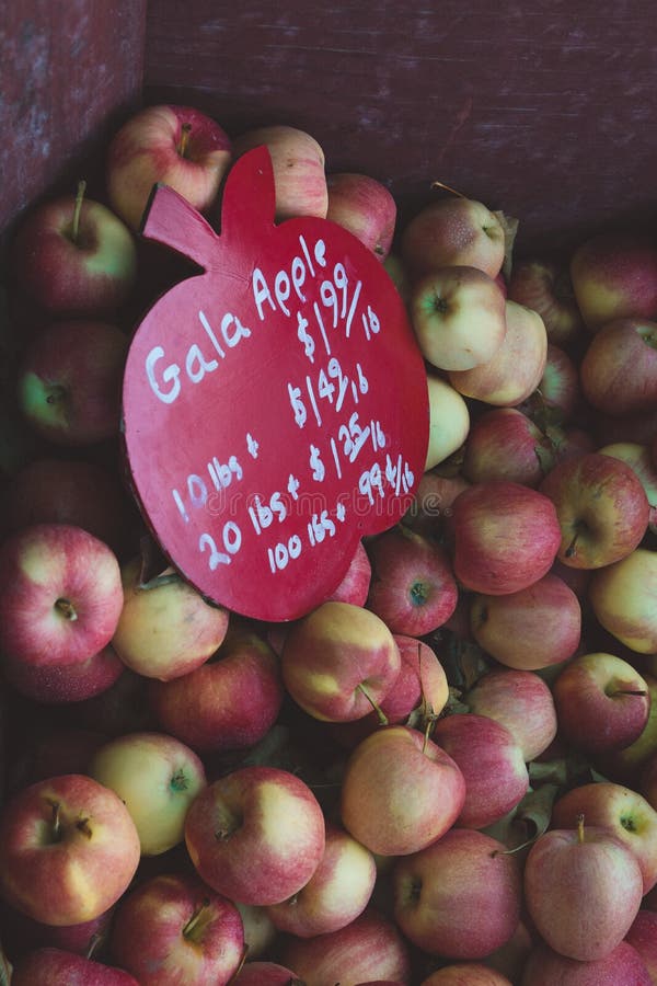 Pile of Gala Apples for Sale at Local Roadside Fruit Stand Market Stock ...
