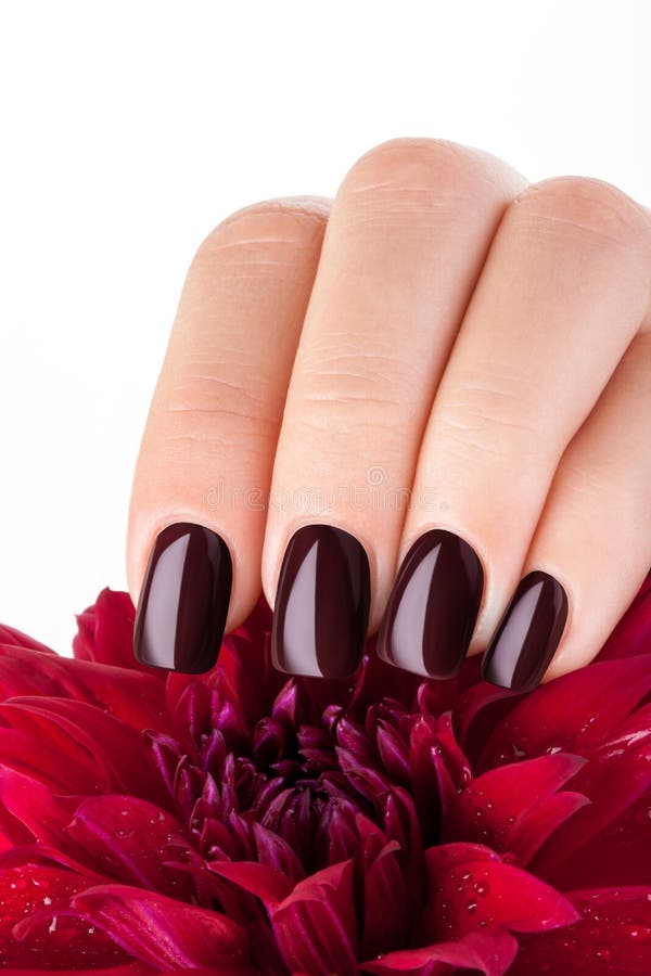 Smalto Per Unghie Rosso Scuro Fotografia Stock - Immagine di manicure ...