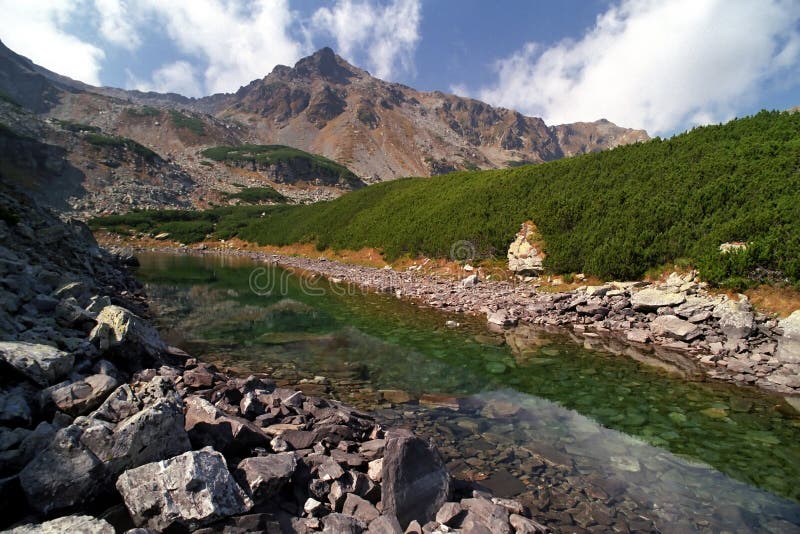 Smarald water stock image. Image of green, parang, clear - 21480839