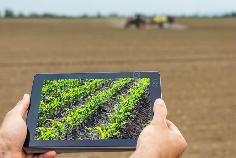 Smart Agriculture. Farmer Using Tablet Corn Planting. Modern ...
