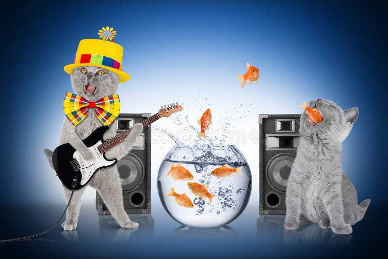 Smart cat team concept stock image. Image of plan, leader - 49831051