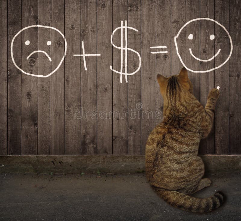Cat Writes a Funny Math Equation on a Fence Stock Image - Image of life ...