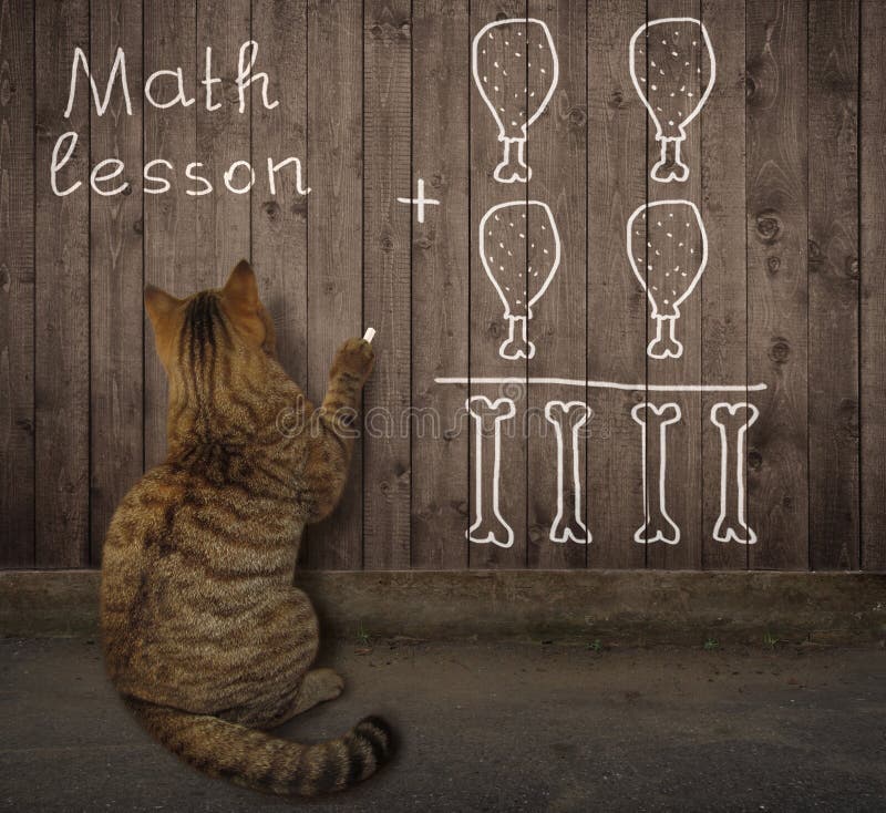 Cat Writes an Equation on the Wall Stock Image - Image of equation ...