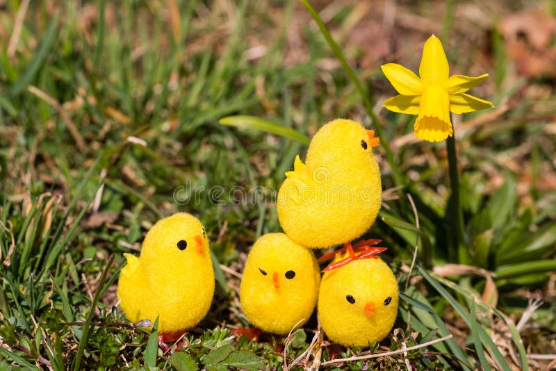 Teamwork in yellow stock image. Image of chicken, humorous - 64566975