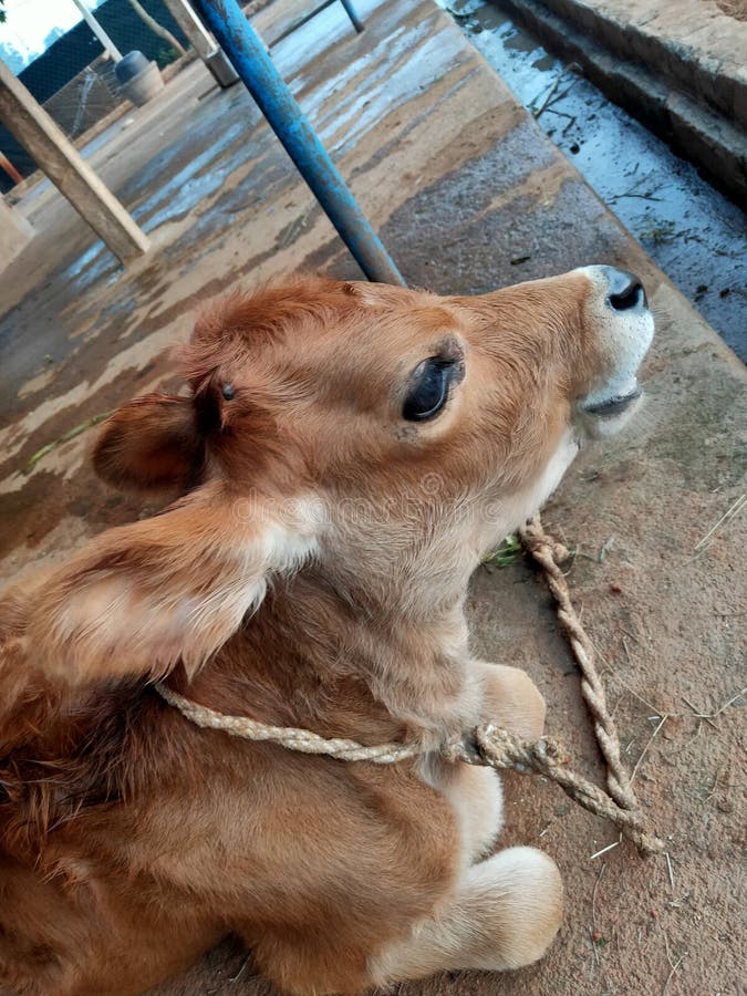 Soo Smart Stock Photos - Free & Royalty-Free Stock Photos from Dreamstime