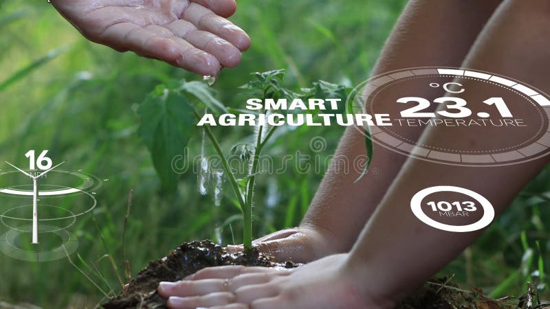 Smart Digital Agriculture Technology by Futuristic Sensor Data ... Smart Digital Agriculture Technology by Futuristic Sensor Data ...