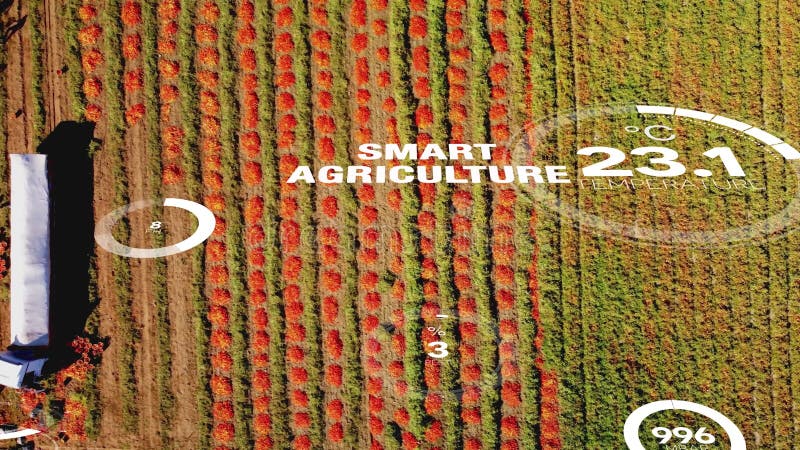 Smart Digital Agriculture Technology by Futuristic Sensor Data ...