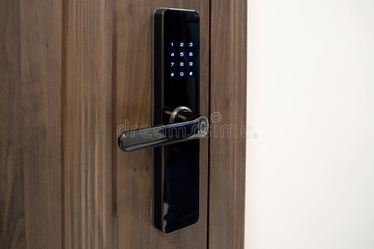 Smart Door Lock with Keypad and Hand Entering Code. Electronic Lock System for Secure Access ...