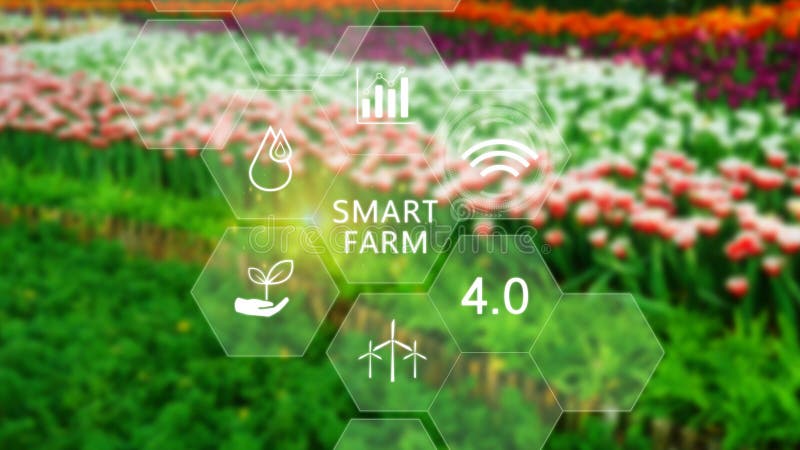Smart Farm, Agriculture Concept with Infographics Smart Farming and ...