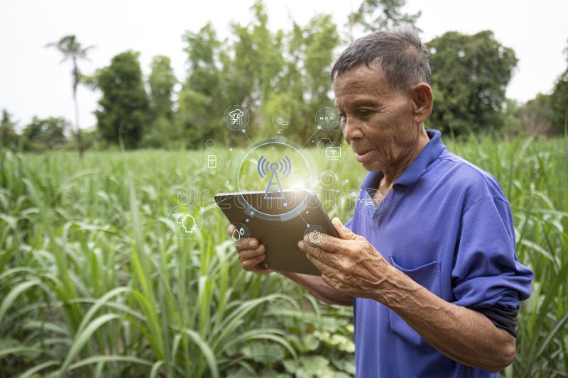 Smart Farm, Asian Senior Farmer Using Tablet Computer Control ...