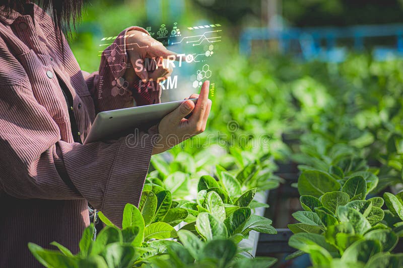 Smart Farm Comes in To Help with Modern Agriculture. Automatic, Precise ...