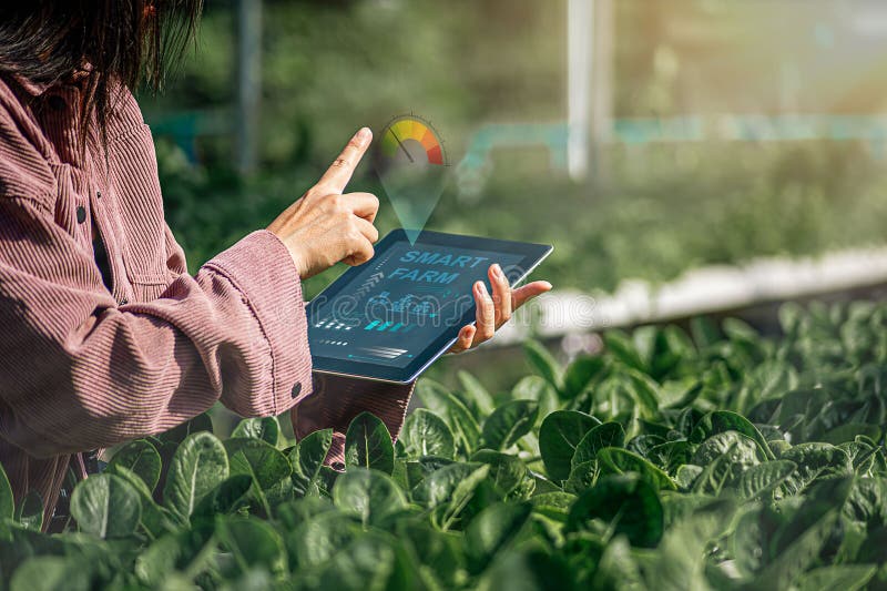 Smart Farm Comes in To Help with Modern Agriculture. Automatic, Precise ...
