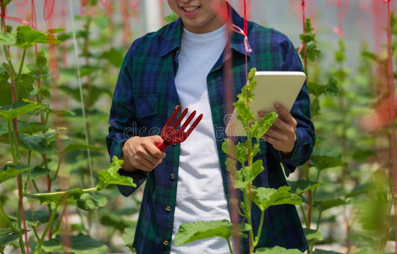 Smart Farm, Farmer Using Tablet Computer Control Agricultural System in ...