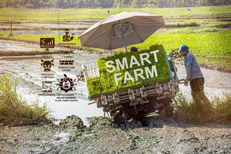 Smart Farm is a New Type of Agriculture that Changes the Old Way of ...