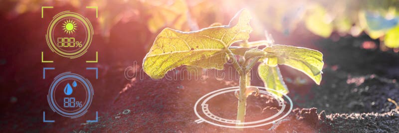 Smart Farm Technology for Detection and Control System for Sprout Plant ...