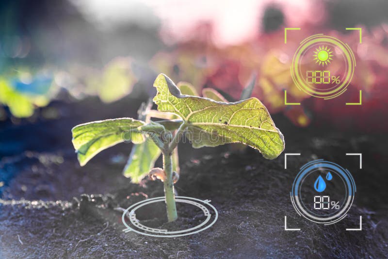 Smart Farm Technology for Detection and Control System for Sprout Plant ...