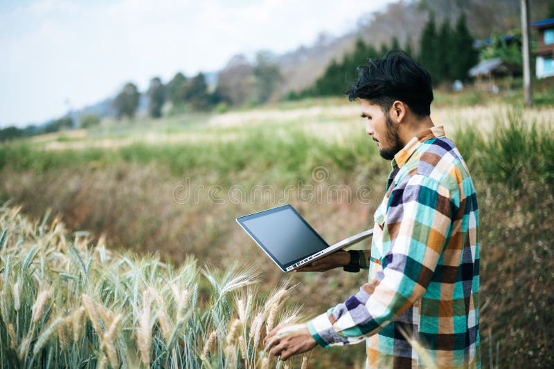 Smart Farmer Checking Barley Farm with Laptop Stock Image - Image of ...