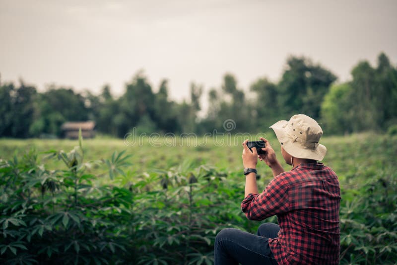 Smart Farmer Checking Crop Integrity and Maintenance Planning for Good ...