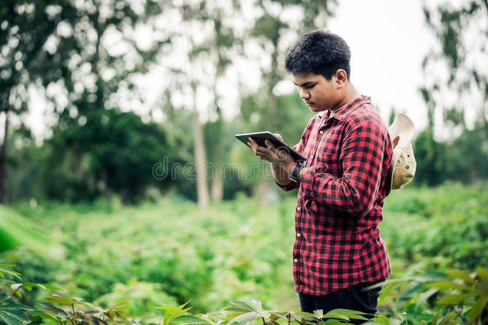 Smart Farmer Checking Crop Integrity and Maintenance Planning for Good ...