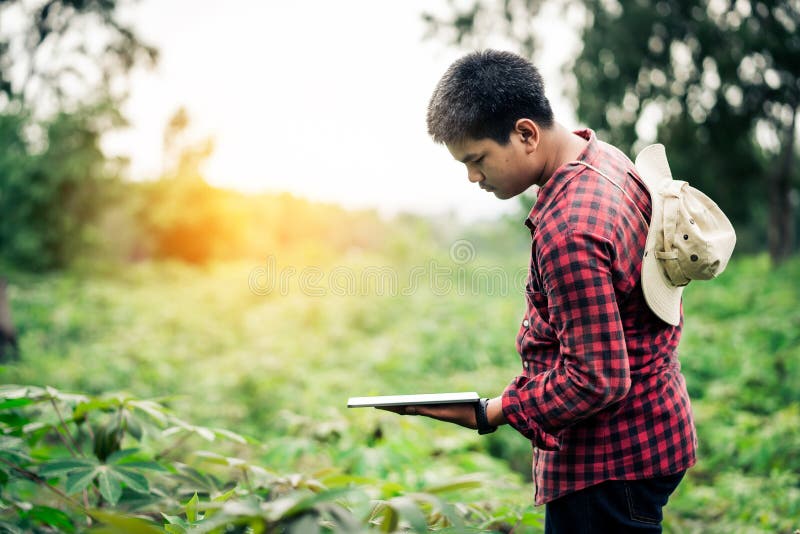 Smart Farmer Checking Crop Integrity and Maintenance Planning for Good ...