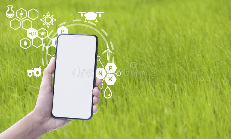 Smart Farmer Concept Using Smartphone in Rice Field and Visual Icon ...