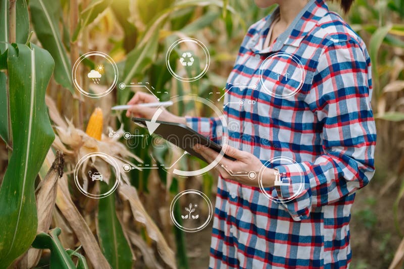 Smart Farmer Using Application by Smartphone Concepts Modern ...