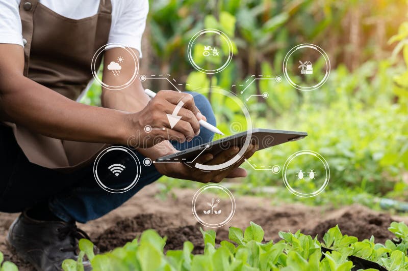 Smart Farmer Using Application by Smartphone Concepts Modern ...