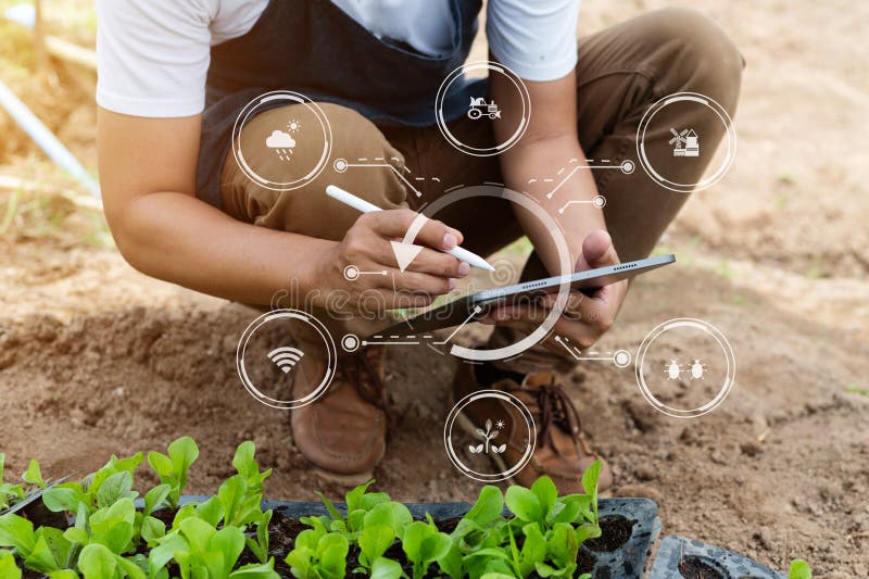 Smart Farmer Using Application by Smartphone Concepts Modern ...