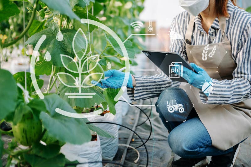 Smart Farmer Using Application by Tablet Concepts Modern Agricultural ...