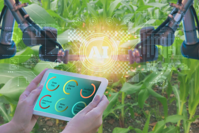 Smart Farmer Using Tablet with Artificial Intelligence or AI Technology ...