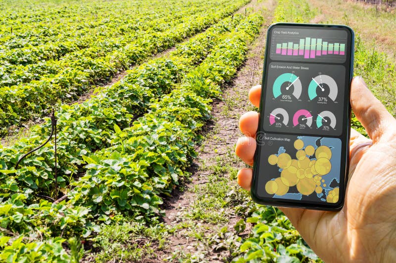 Smart Farming Digital Technology Agriculture App Stock Image - Image of ...