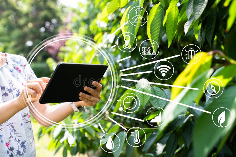 Smart Farming Digital Technology Agriculture App Stock Image - Image of ...