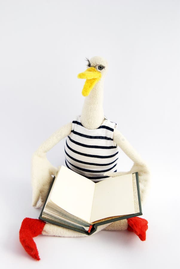 Smart goose stock image. Image of smart, doll, learn, toys - 4993573