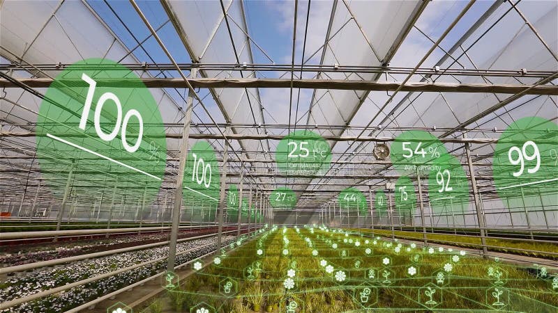 Smart Greenhouse. Control of Parameters in the Greenhouse Stock Video ...