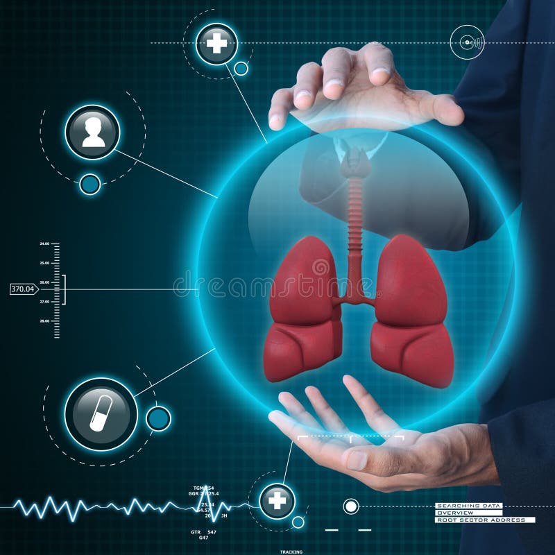 Smart Hand Showing Human Lungs Stock Photos - Free & Royalty-Free Stock ...