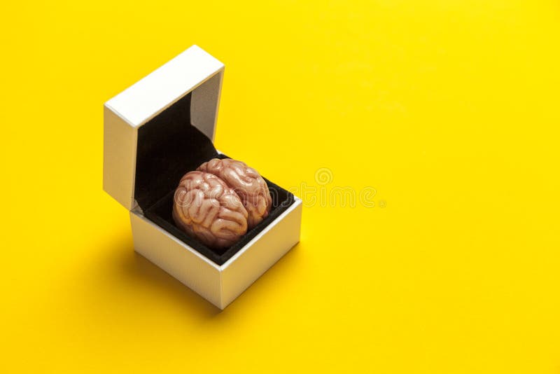 Smart Human Brain in Box is Isolated on Yellow Background As Gift To ...