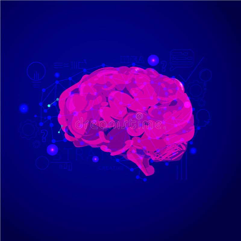 Smart Human Brain with Intelligence Symbol Concept - Vector Stock ...