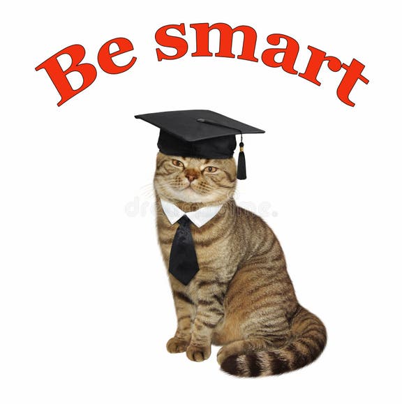 Smart katt i en hatt arkivfoto. Bild av bakgrund, kort - 129091742