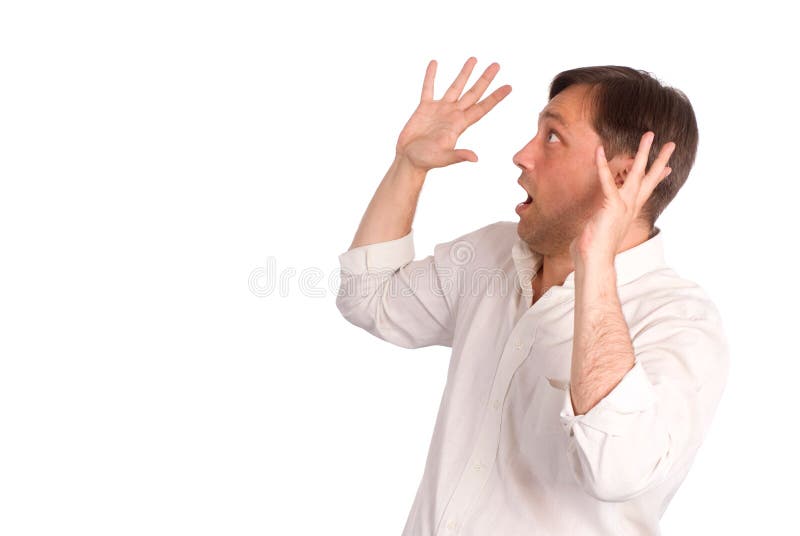 Smart man posing stock image. Image of white, looking - 20763017