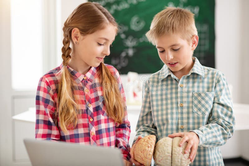 Smart Nice Kids Looking at the Human Brain Stock Image - Image of ...