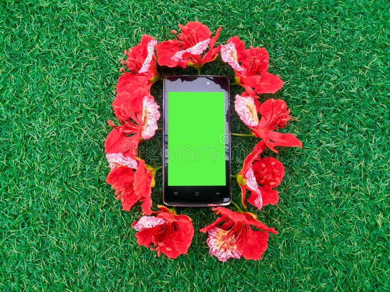 Smart phone on grass stock image. Image of touch, technology - 73305269