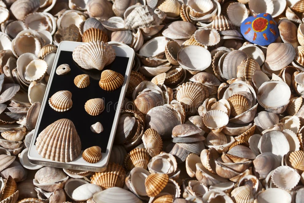 Smart Phone among Seashells Stock Image - Image of summer, space: 196746125