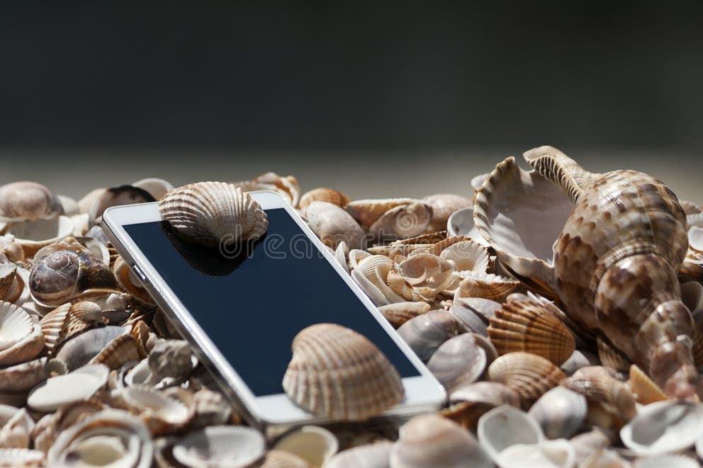 Smart phone with seashells stock photo. Image of texture - 196746100