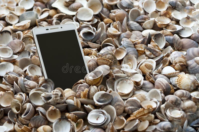 Smart Phone among Seashells Stock Image - Image of phone, blank: 195730425