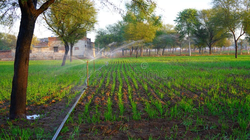 Smart Sprinkler Functioning in Green Agriculture Fields and Watering in ...