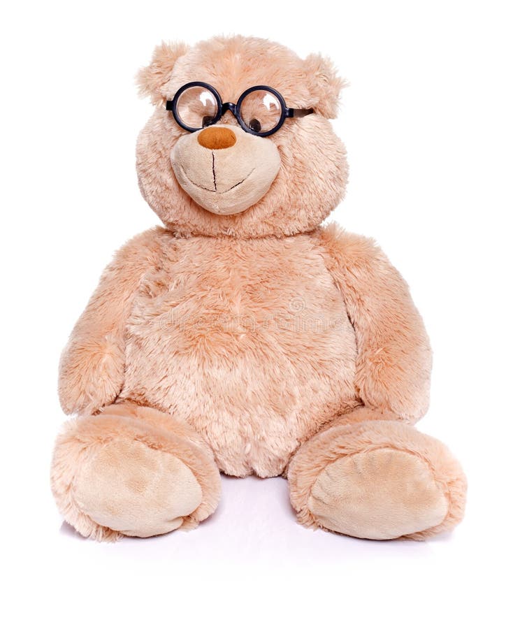21+ Smart bear Free Stock Photos - StockFreeImages